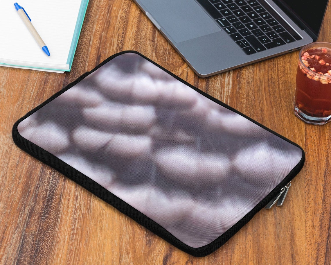 Cute Office Desk Decor, Laptop Sleeve, Barred Rock - Etsy