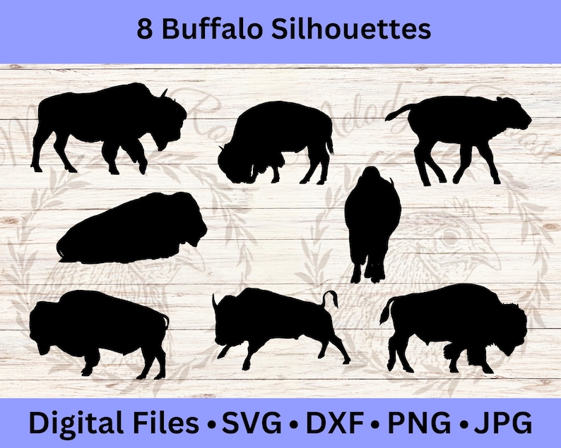 Printable Cuttable Buffalo Silhouette, Bison SVG, Animal Clipart ...