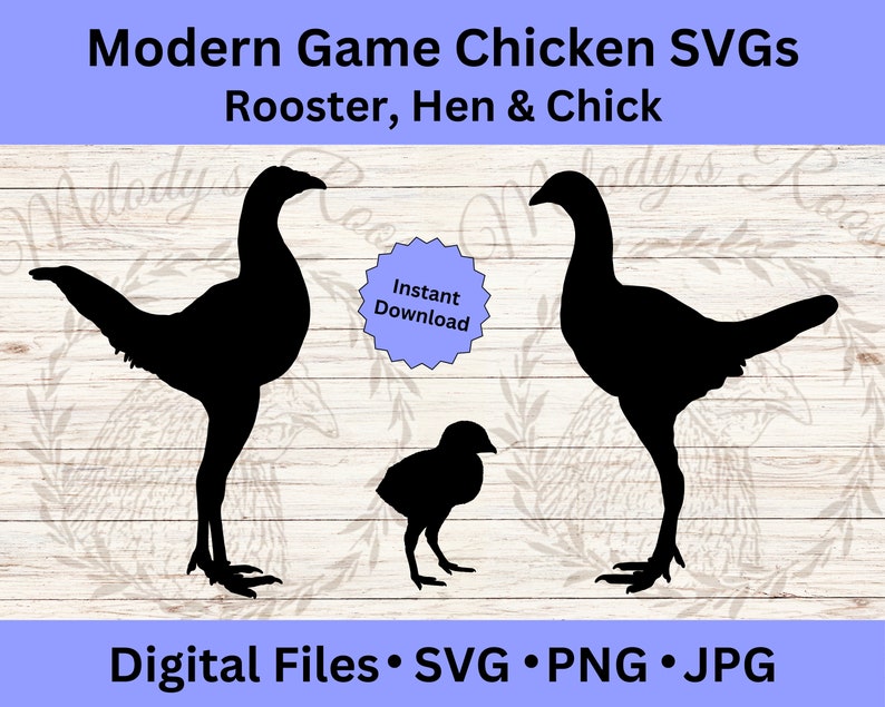 Modern Game Chicken Cricut SVG, Livestock Graphic, Animal SVG, Digital ...