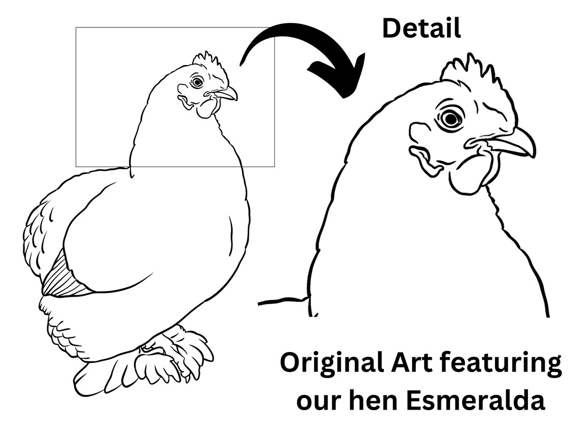 Cochin Chicken Digital Clipart, Printable Farm Graphics, Chicken PNG ...