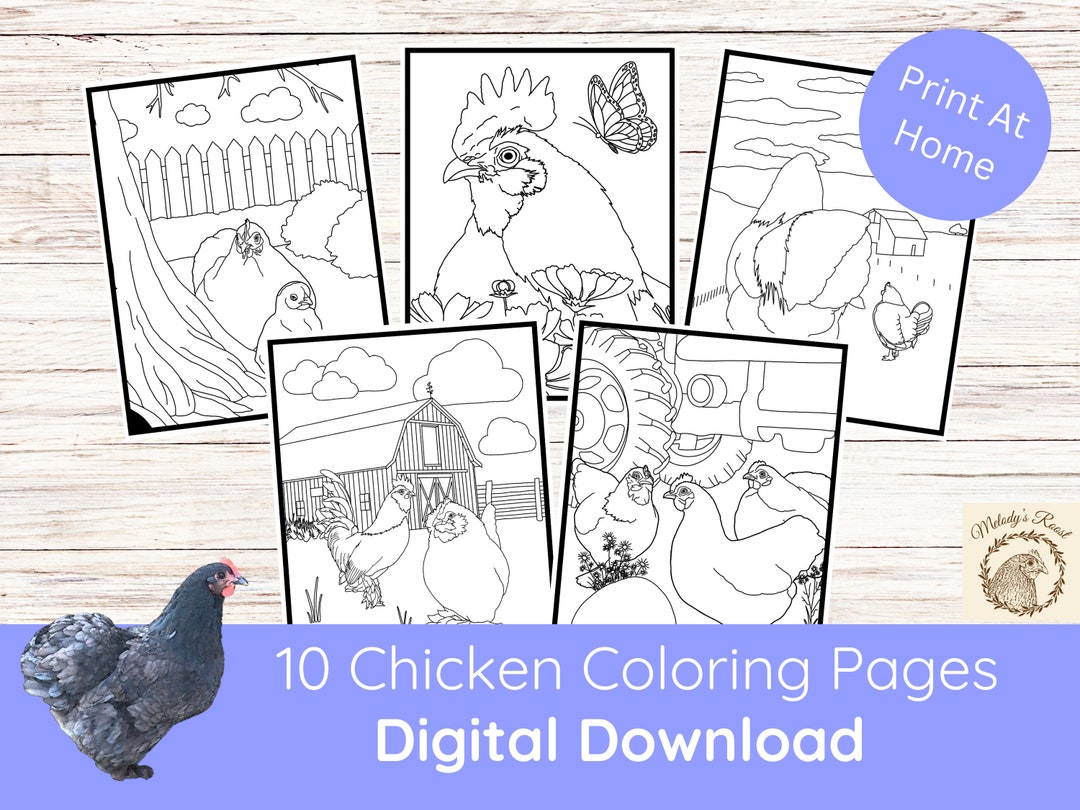 Printable Chickens Coloring Sheets, Digital Download, Coloring Pages ...