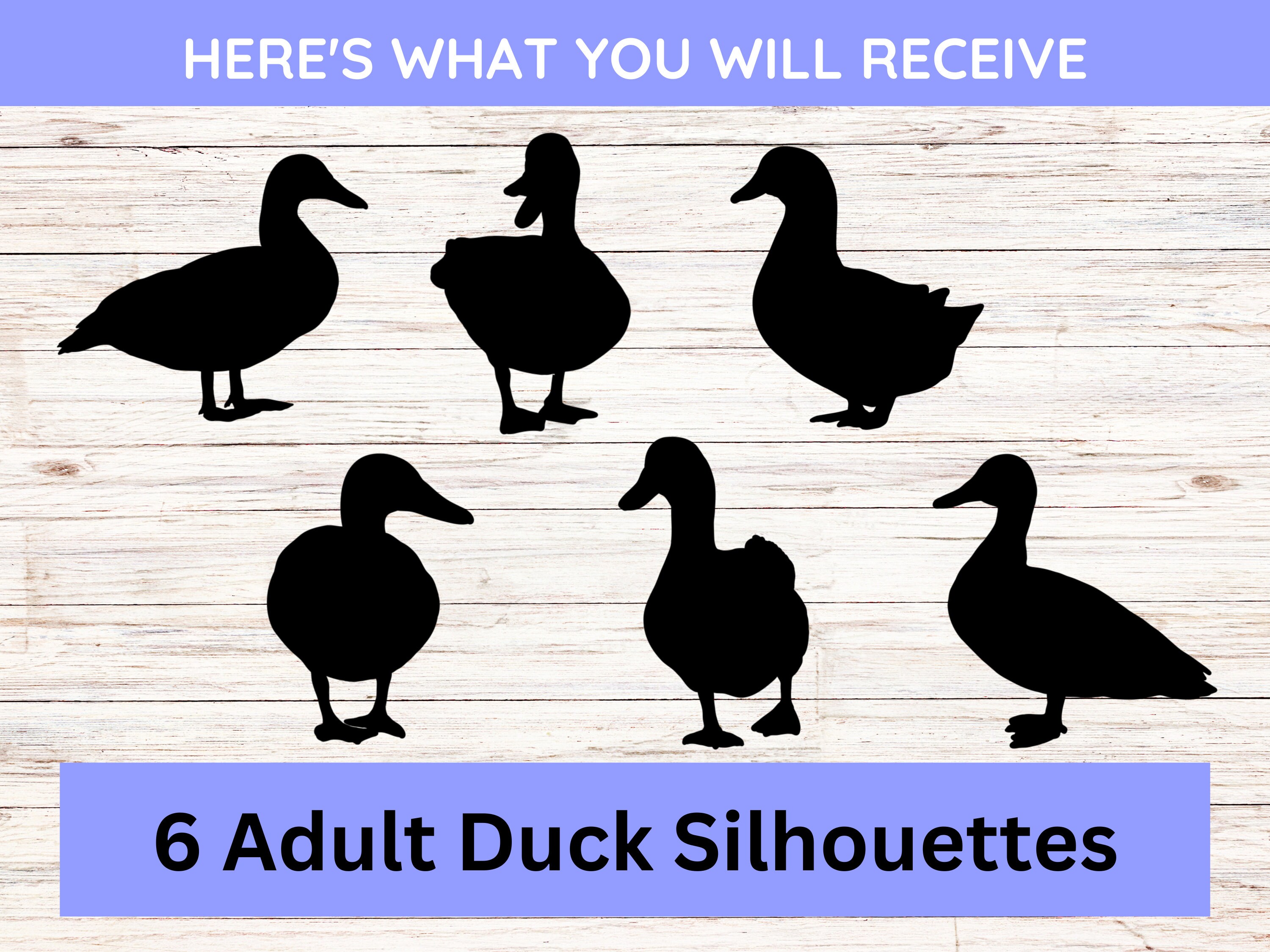 Duck Silhouette SVG Bundle, Duck Clipart, Farm Animal Vector, Bird SVG ...