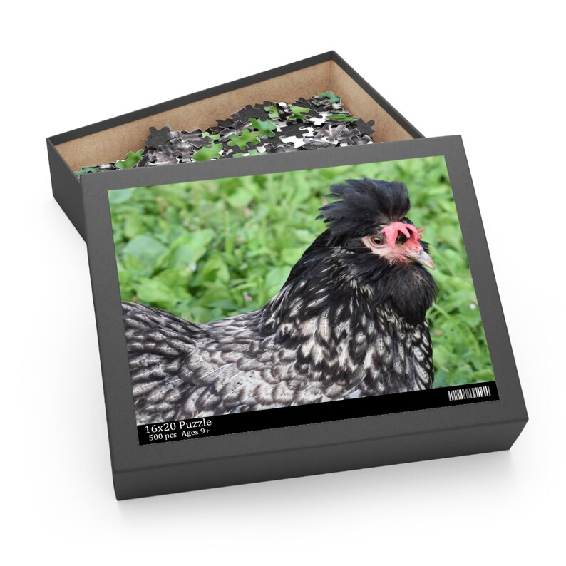 Rompecabezas de la familia de pollos polacos, pájaros, decoración de la ...