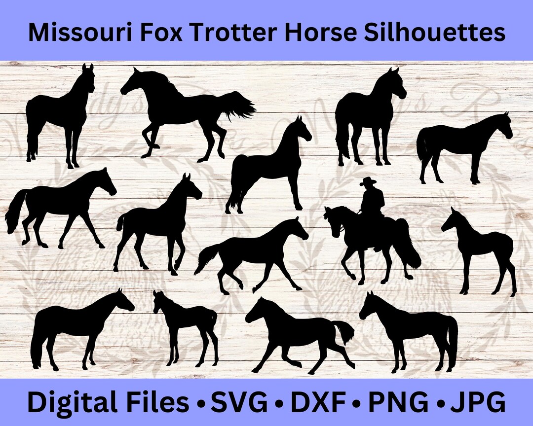 Missouri Fox Trotter Horse SVG Cut Files: Equestrian Clipart (digital ...
