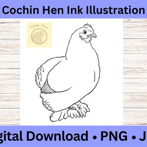 Cochin Chicken Digital Clipart, Printable Farm Graphics, Chicken PNG ...