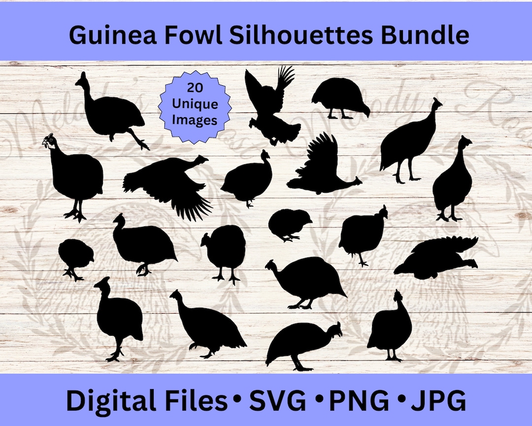 Guinea Fowl Vector Files, Farm Animal Clipart, Bird PNG, Animal ...
