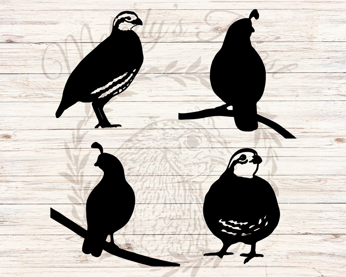 Quail SVG Bundle, Farm Bird Clipart, Quail Art, Digital Graphics ...