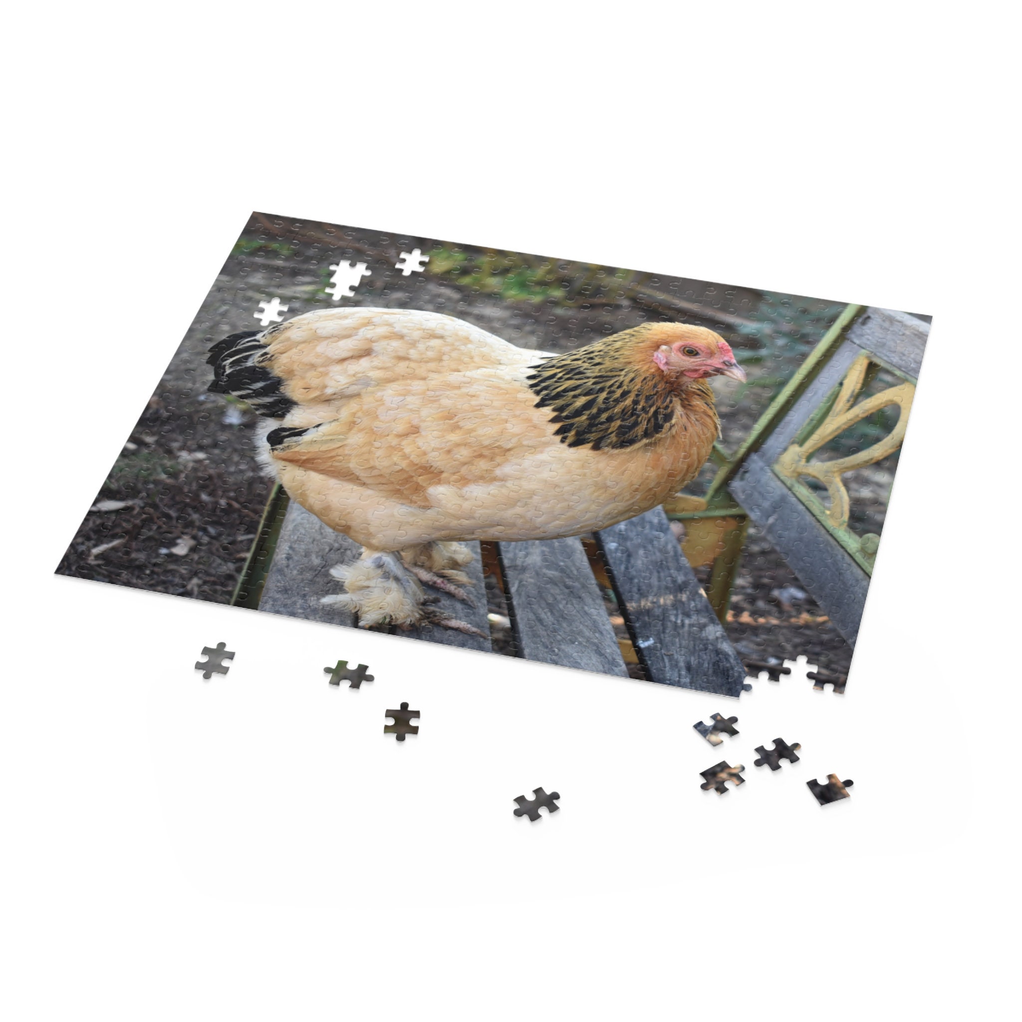 Brahma Chicken Jigsaw Puzzle Cute Hen Challenging Animal - Etsy