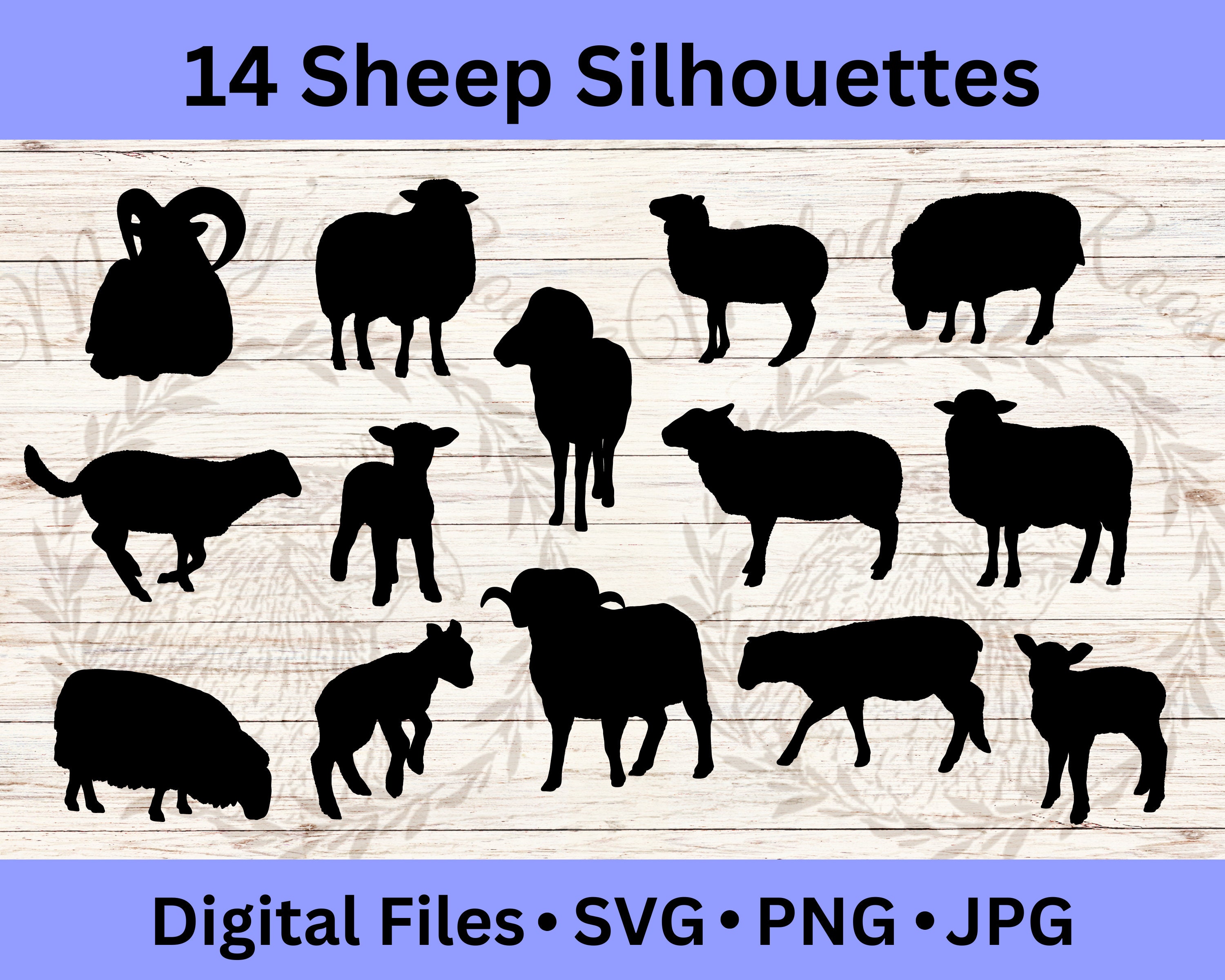 Sheep Svgs, Animal Silhouettes, Livestock Vector Graphics, Farm Animal ...