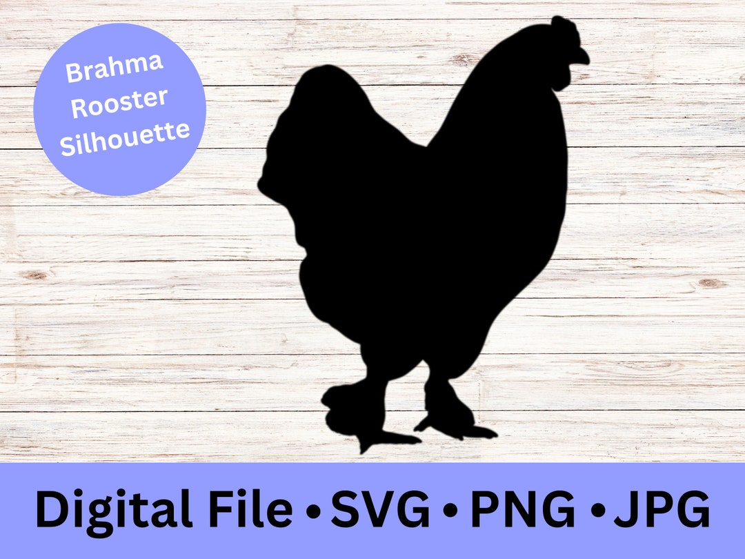 Brahma Rooster Clipart, Printable Farm Animal SVG, Chicken Silhouette ...
