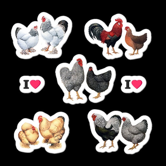 Chicken Stickers Laptop Stickers Vinyl Sticker Sheet Farm | Etsy