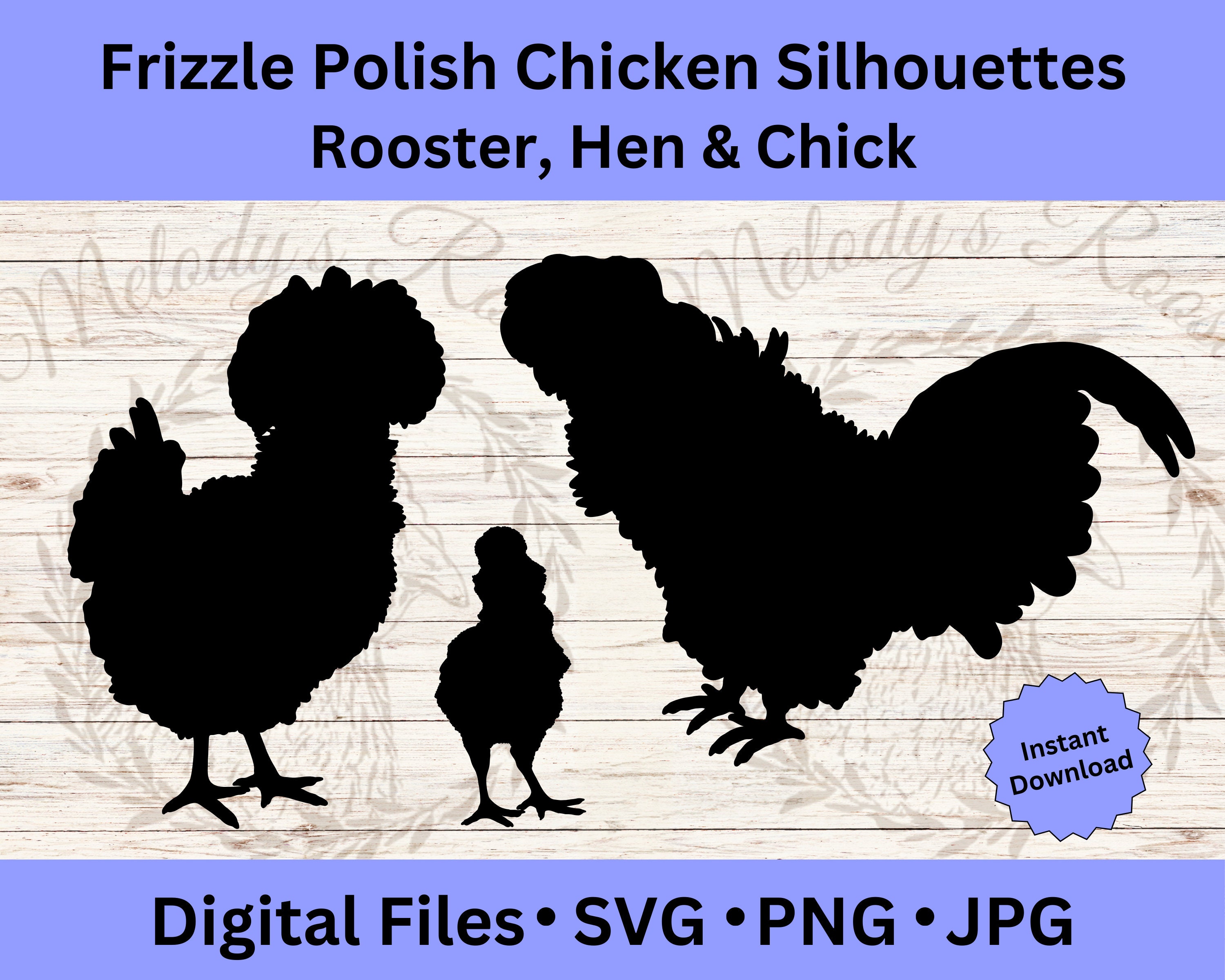 Frizzle Polish Chicken SVG, Cute Farm Animal Clipart, Funny Animal SVG ...
