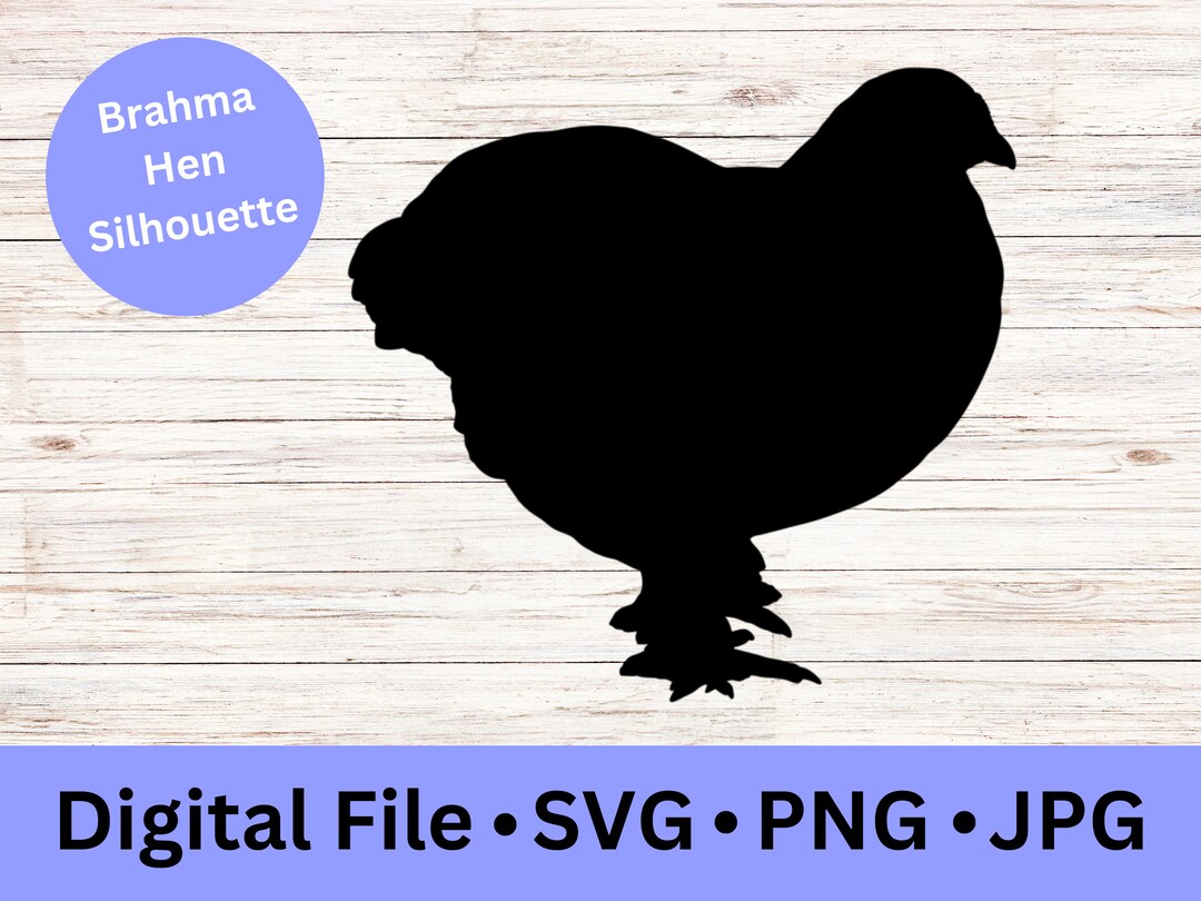 Brahma Hen SVG File, Digital Chicken Clipart, Animal Silhouette PNG - Etsy