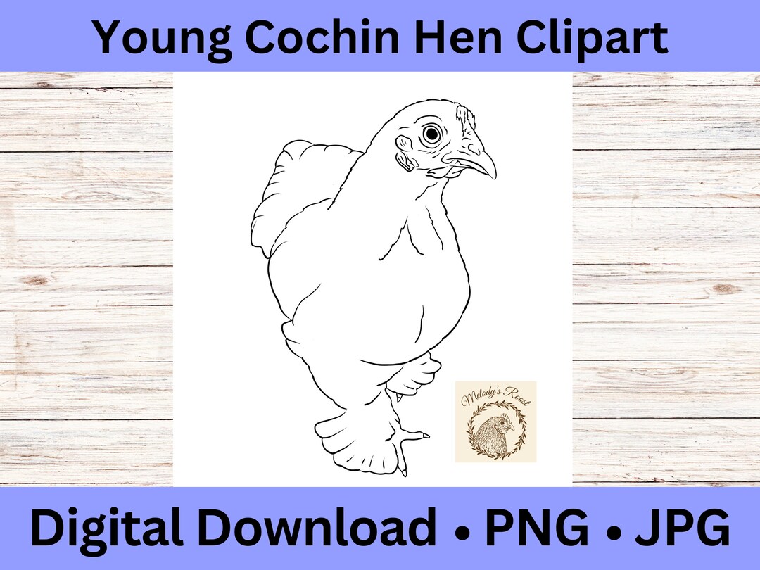 Cute PNG Chicken Design, Cochin Hen Line Art, Baby Animal Clipart - Etsy