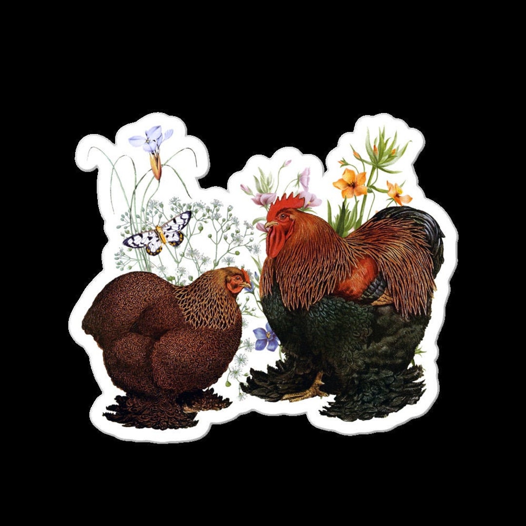 Farm Stickers Cochin Homesteading Vinyl Decal - Etsy