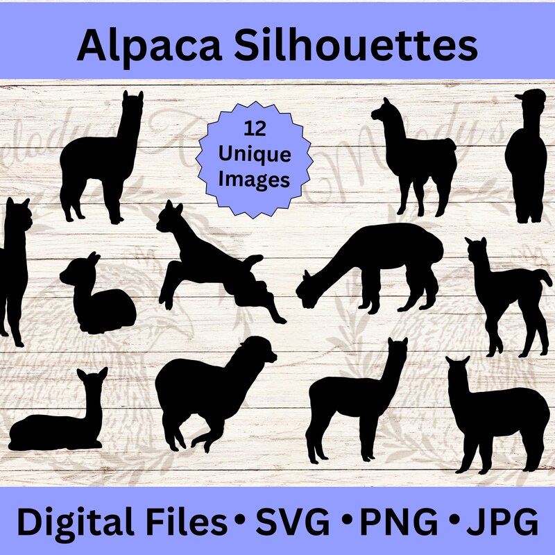 Alpaca Svg - Etsy