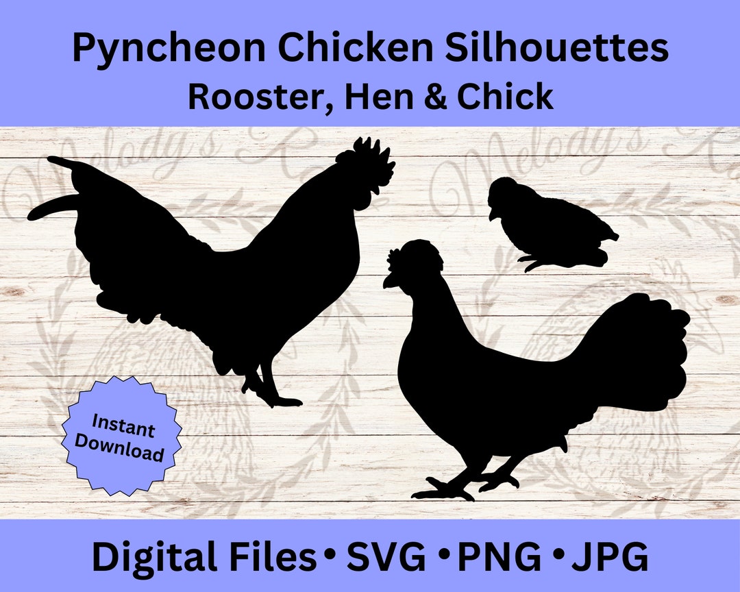 Pyncheon Silhouettes, Bantam Chicken Clipart, Cricut SVG, Farm Animal ...