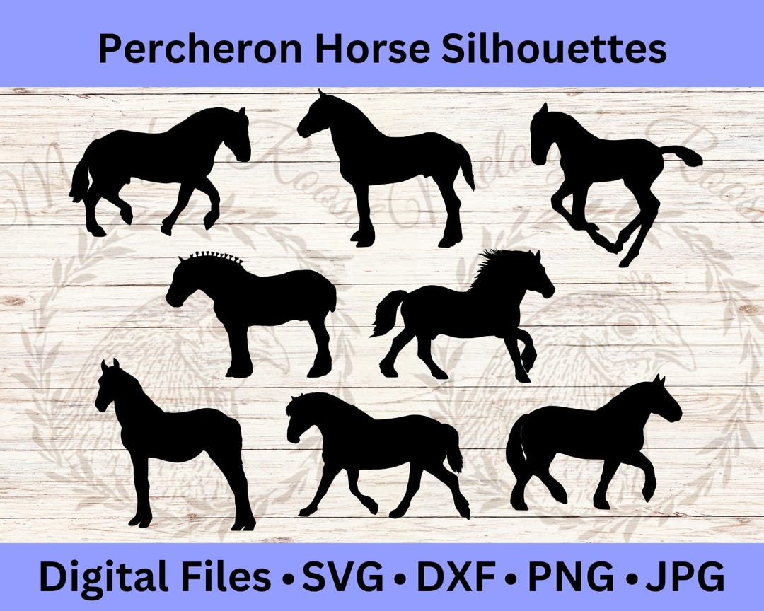 Percheron Draft Horse SVG, Cutting Machine Files, Horse Clipart, Vinyl ...
