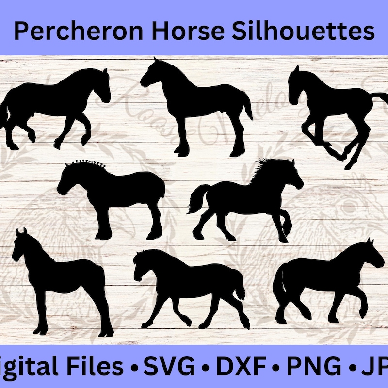 Percheron - Etsy