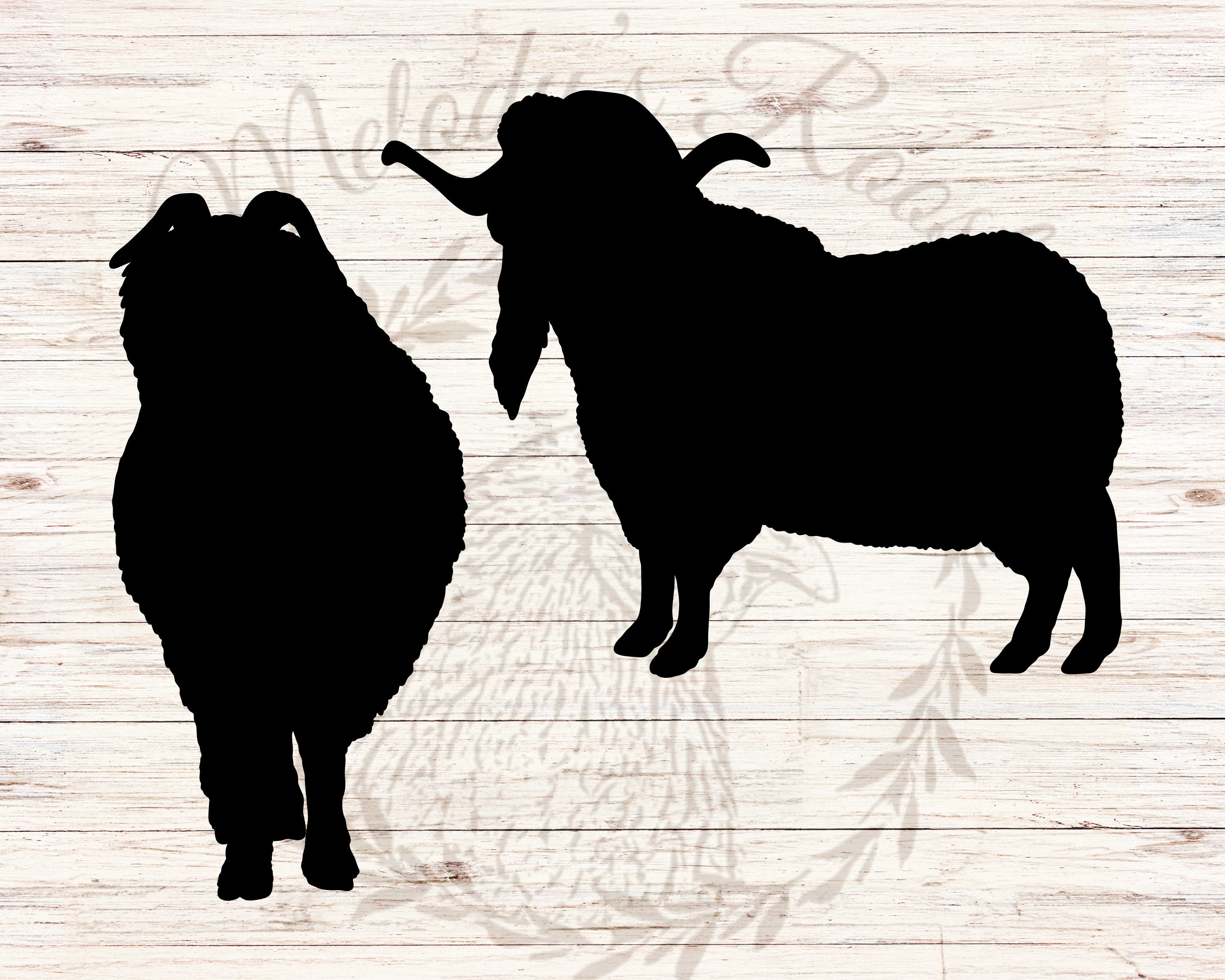 Angora Goat Silhouette Svgs, Farm Clipart, Goat PNG, Vectors, Website ...