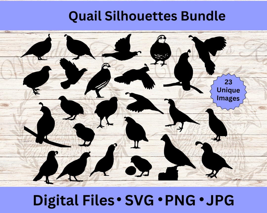 Quail SVG Bundle, Farm Bird Clipart, Quail Art, Digital Graphics ...