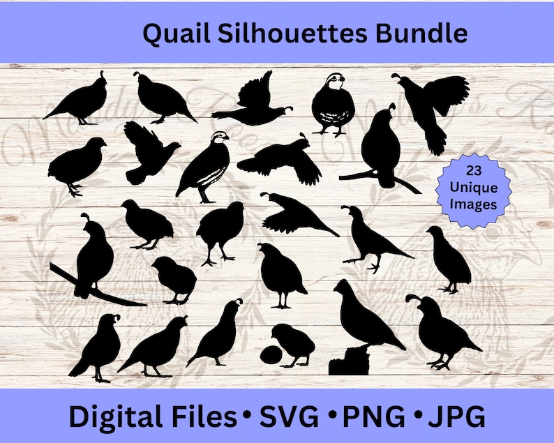 Quail SVG Bundle, Farm Bird Silhouettes (PNG, JPEG) - Etsy