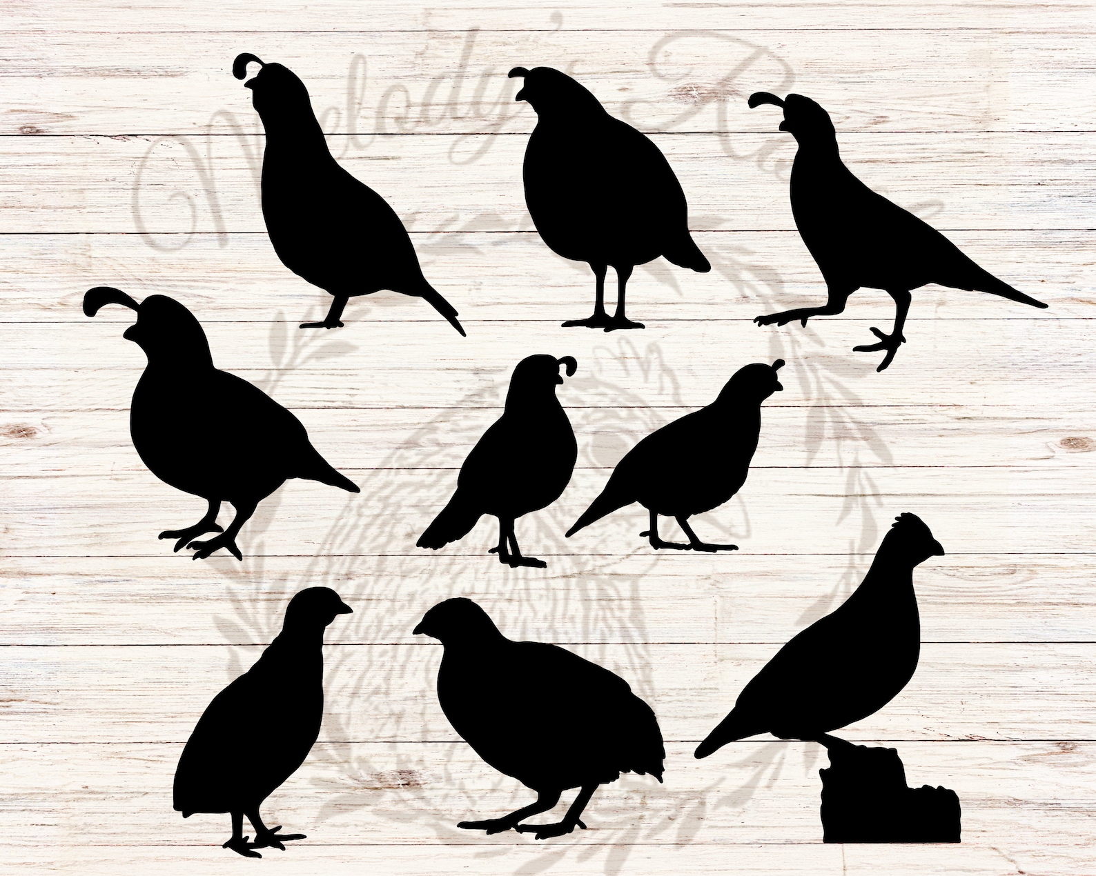 Quail SVG Bundle, Farm Bird Clipart, Quail Art, Digital Graphics ...