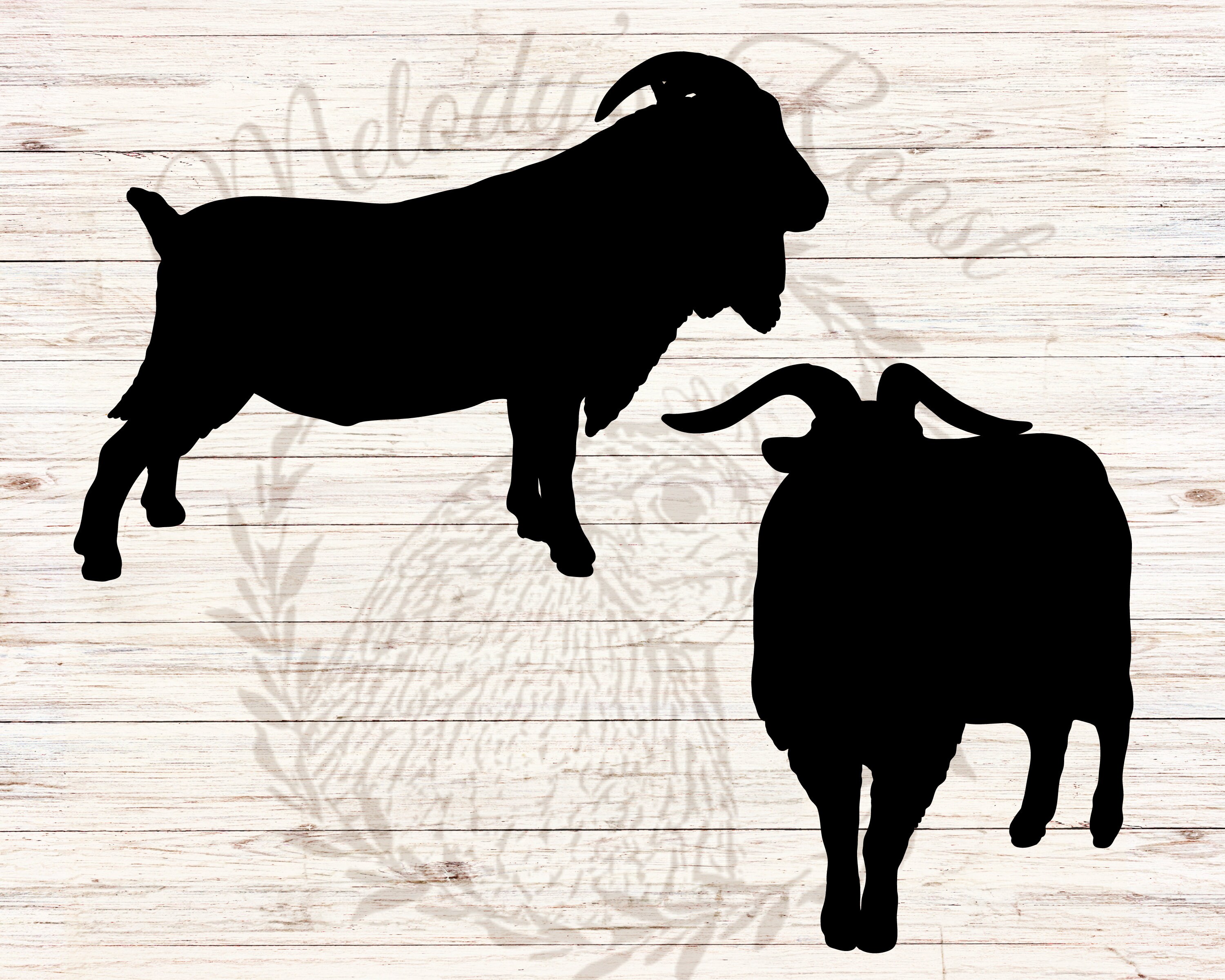 Nigerian Dwarf Goat SVG Bundle, Cute Farm Clipart, Livestock Cricut SVG ...