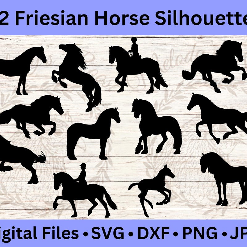 Friesian Horse Digital - Etsy