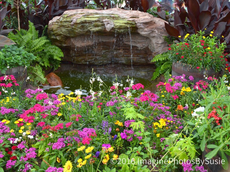 Butterfly Garden Water Fountain Epcot Flower & Garden - Etsy