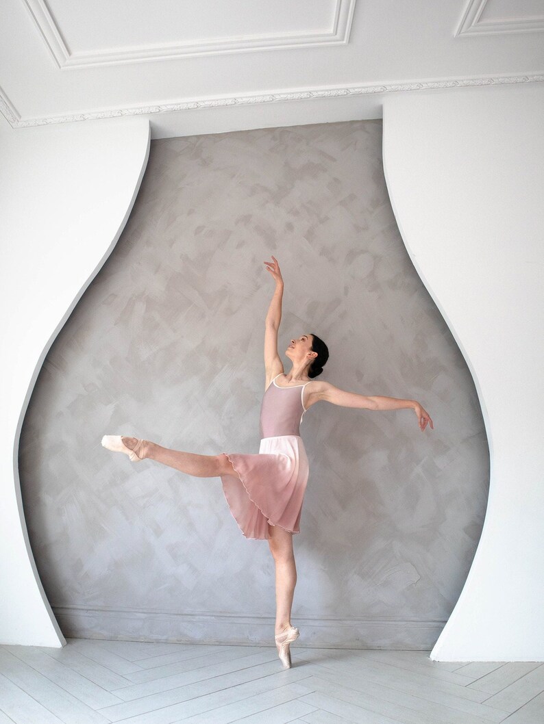 Classic 20 Ombre Sakura Blossom Ballet Skirt light Pink/pink Polyester ...
