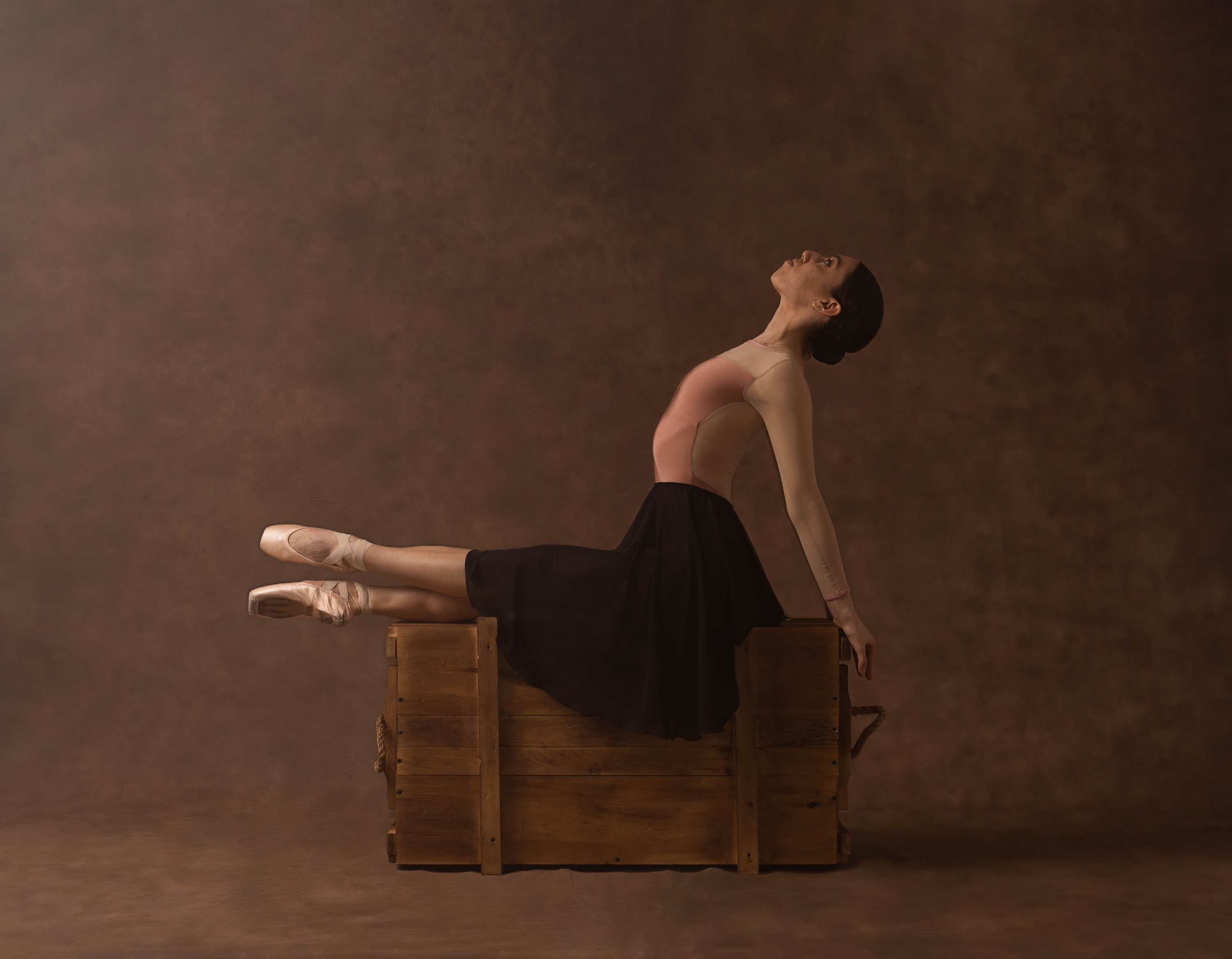 Classic 20 Black Ballet Skirt Black Polyester Chiffon Ballet Dress for ...