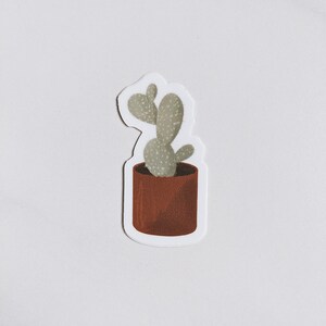 Cacti Trio | Cactus Sticker Set | Vinyl Sticker Pack | Cactus ...