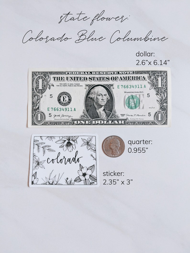 Colorado Sticker CO State Flower Colorado Blue Columbine - Etsy