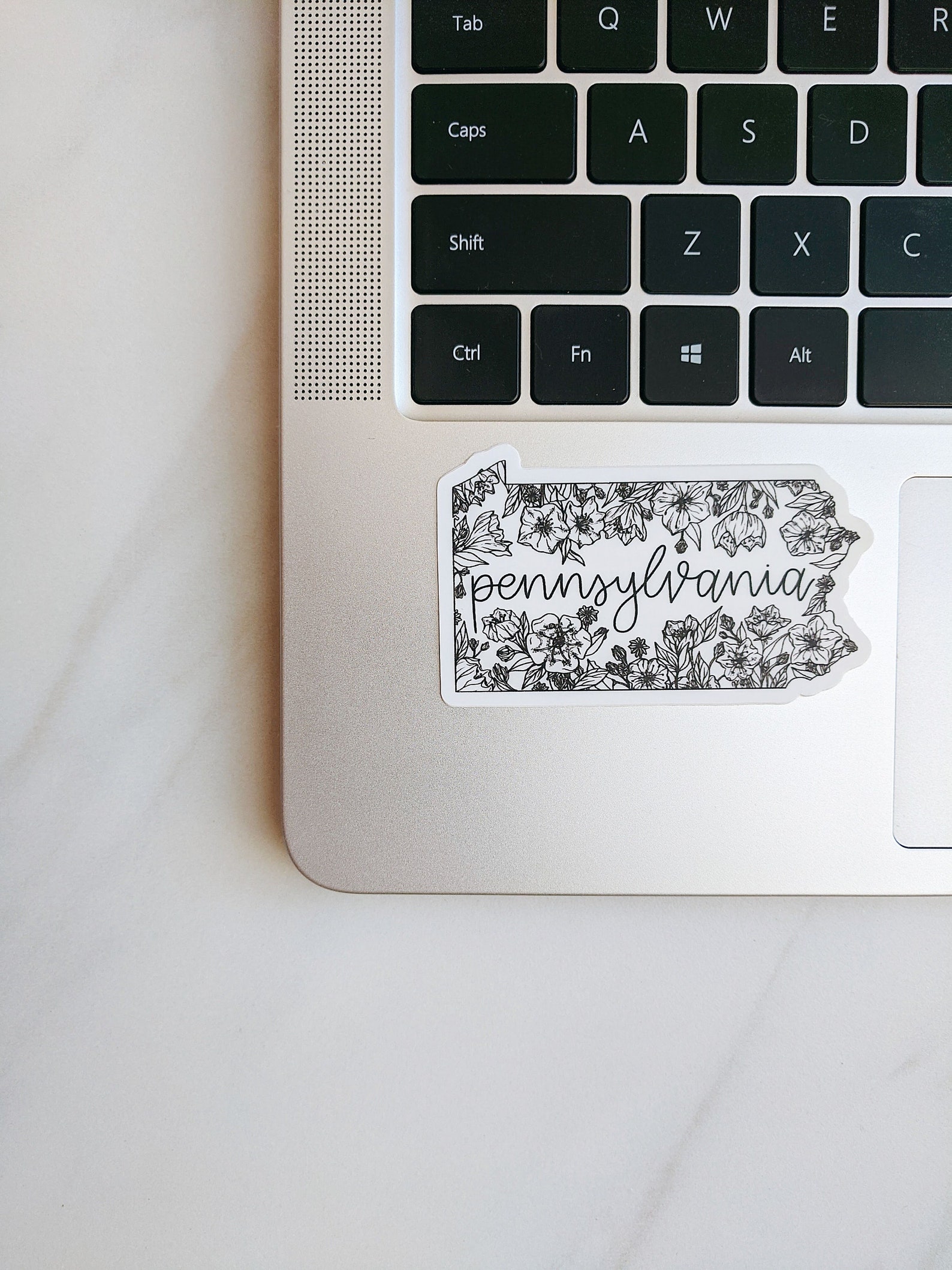 Pennsylvania Sticker PA State Flower Mountain Laurel - Etsy