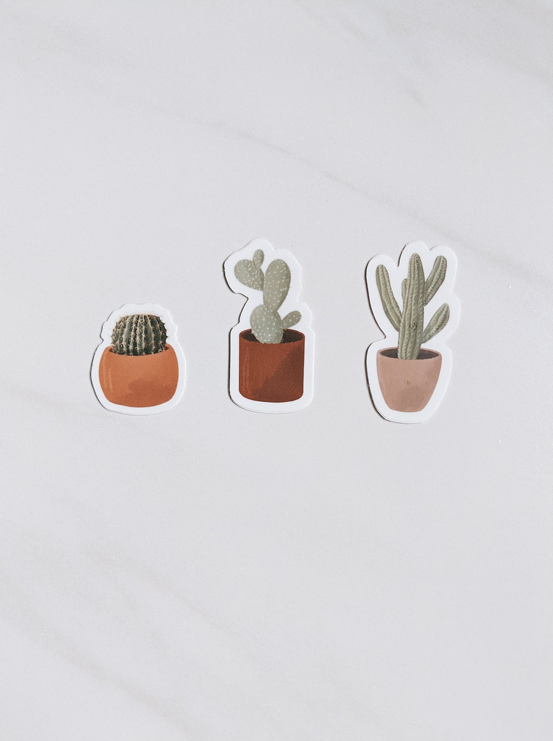 Cacti Trio Cactus Sticker Set Vinyl Sticker Pack Cactus Succulents ...