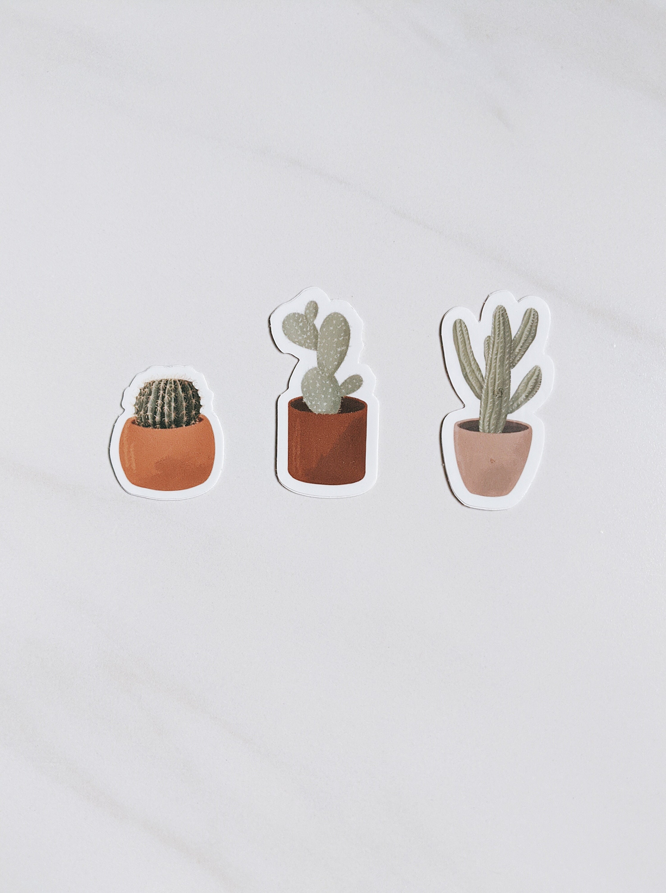 Cacti Trio Cactus Sticker Set Vinyl Sticker Pack Cactus | Etsy
