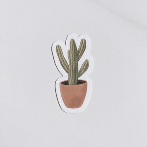 Cacti Trio | Cactus Sticker Set | Vinyl Sticker Pack | Cactus ...