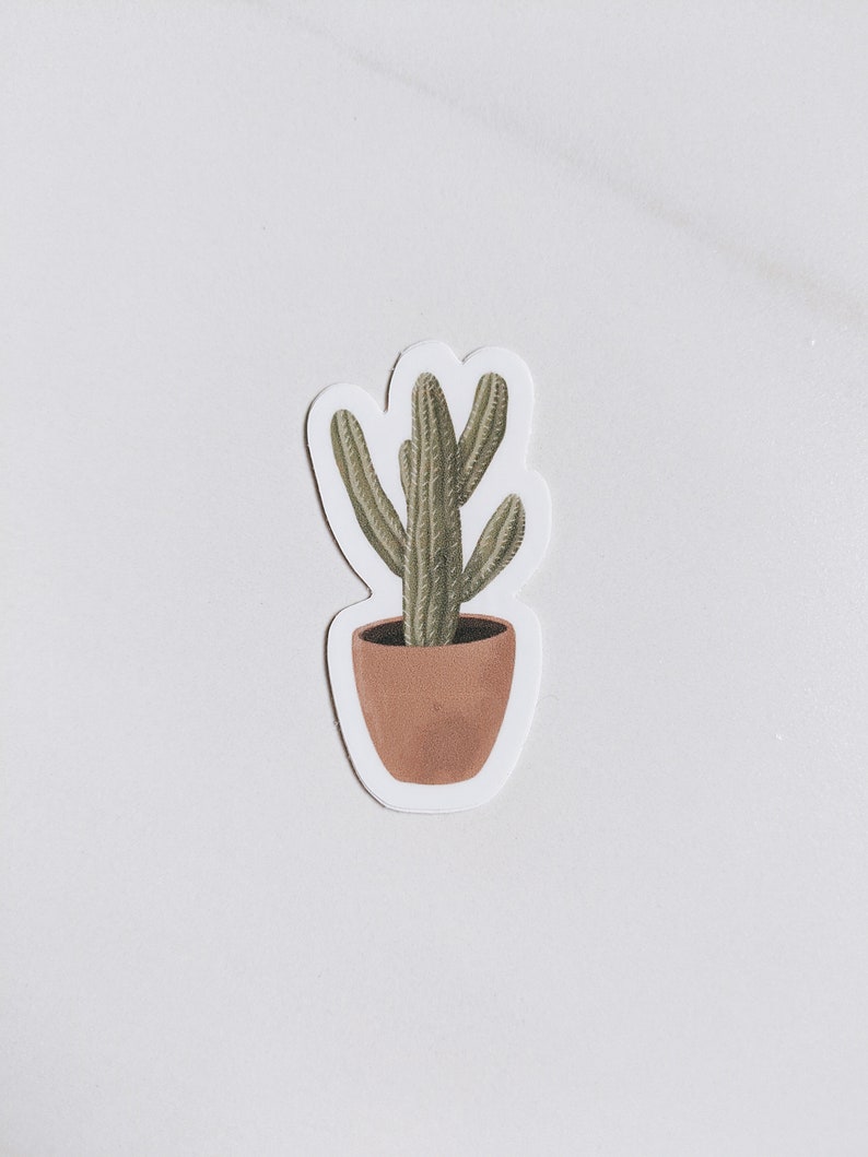 Cacti Trio Cactus Sticker Set Vinyl Sticker Pack Cactus | Etsy