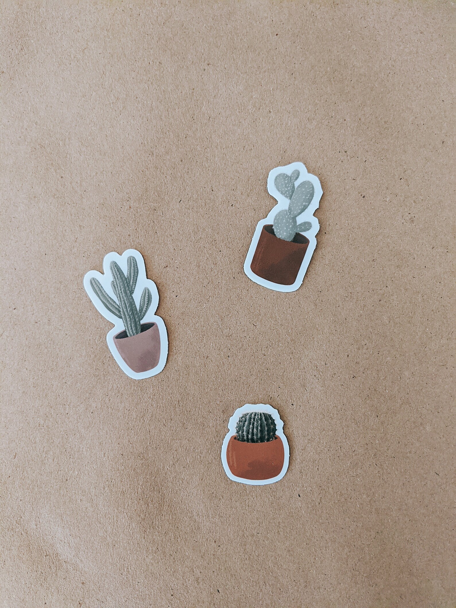 Cacti Trio Cactus Sticker Set Vinyl Sticker Pack Cactus | Etsy
