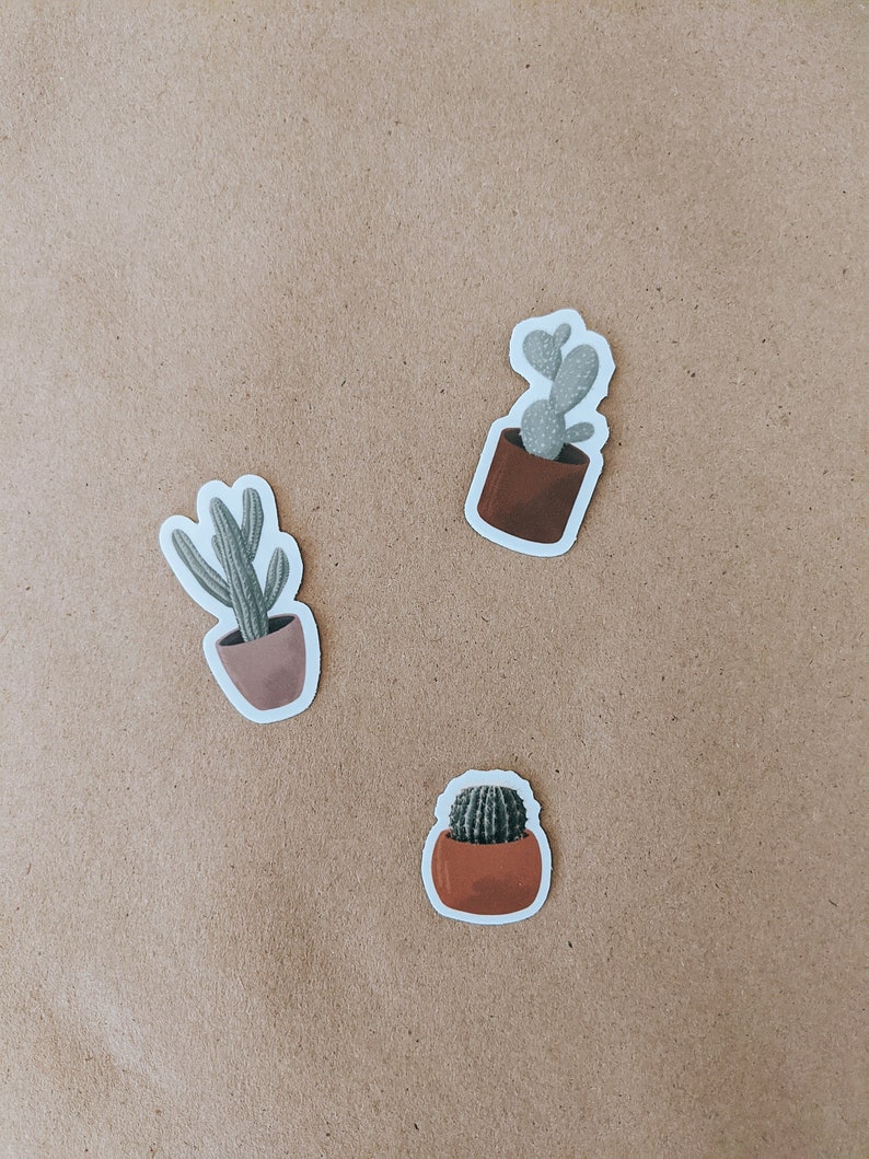 Cacti trio cactus sticker set vinyl sticker pack cactus | Etsy