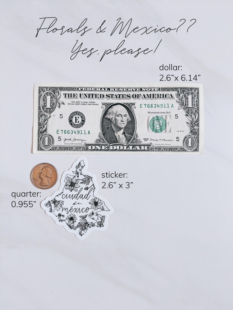 Ciudad de México sticker Mexico City state sticker floral | Etsy