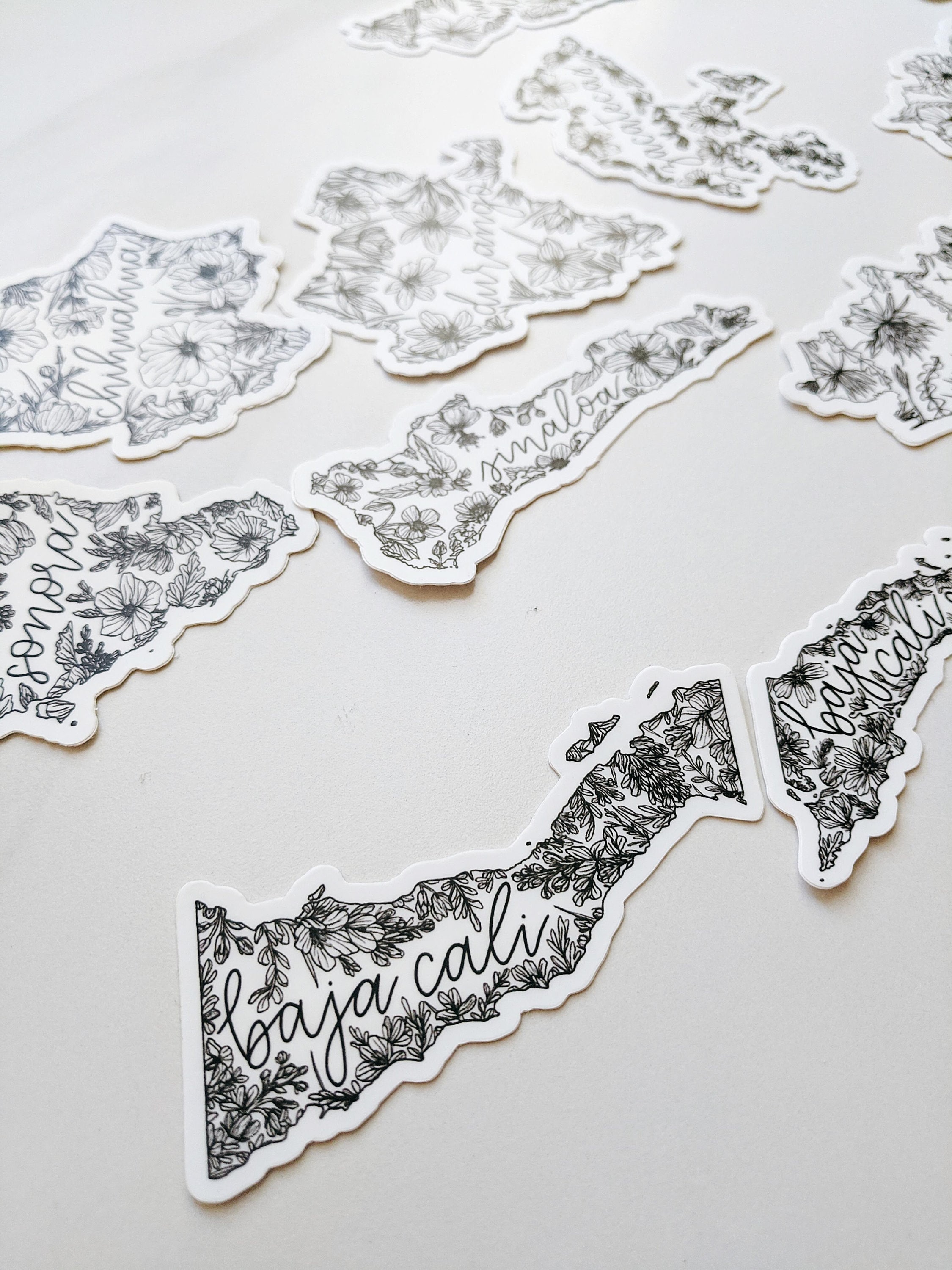 Baja California sticker Mexico state sticker native flora | Etsy