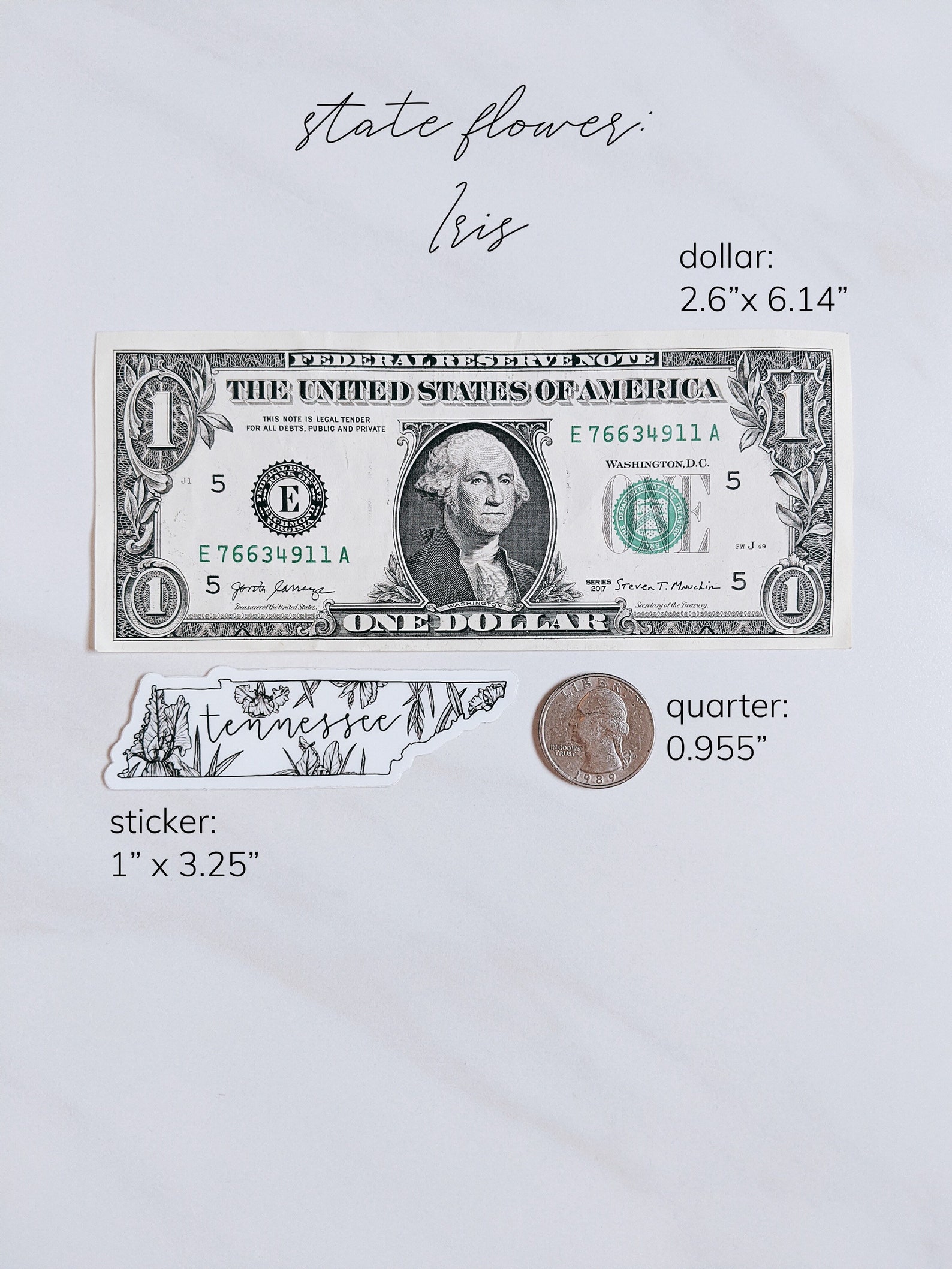 Tennessee Sticker TN State Flower Iris Vinyl Decal - Etsy