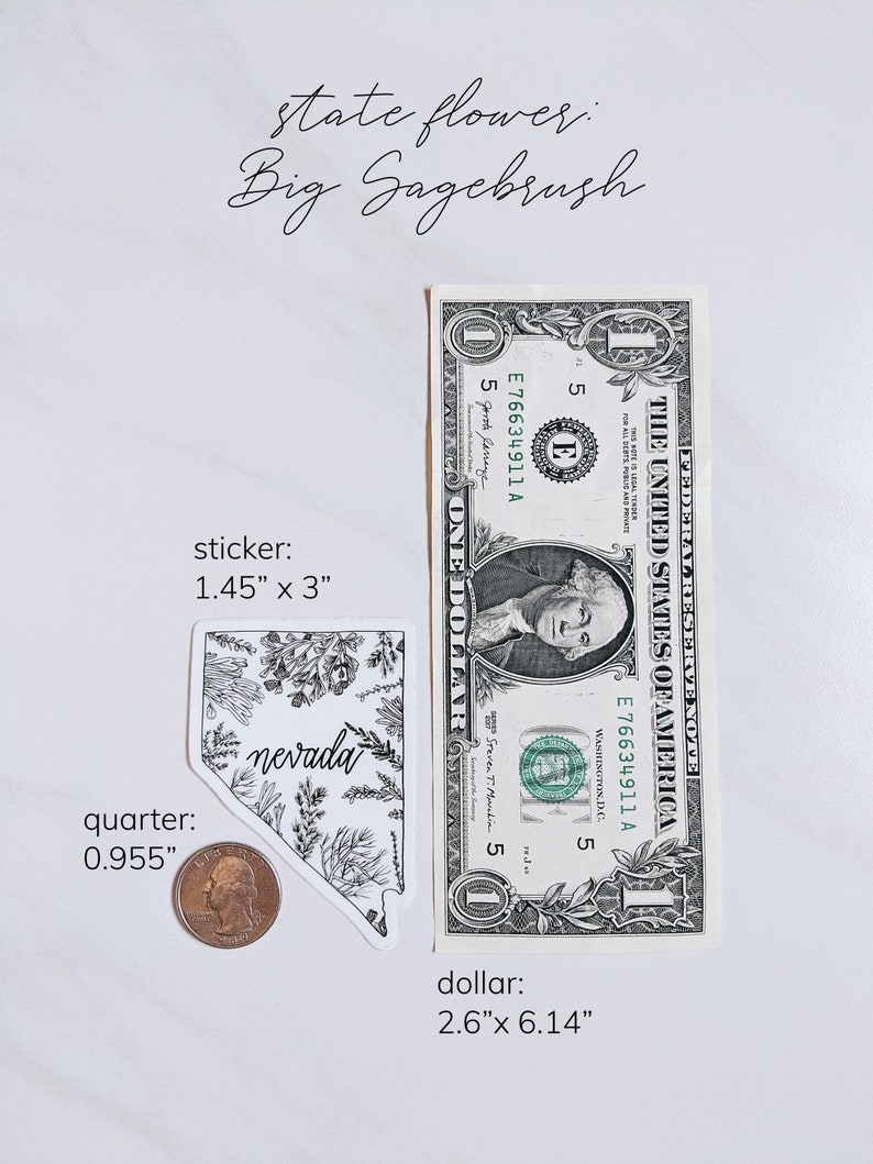 Nevada Sticker NV State Flower Big Sagebrush Vinyl Decal - Etsy