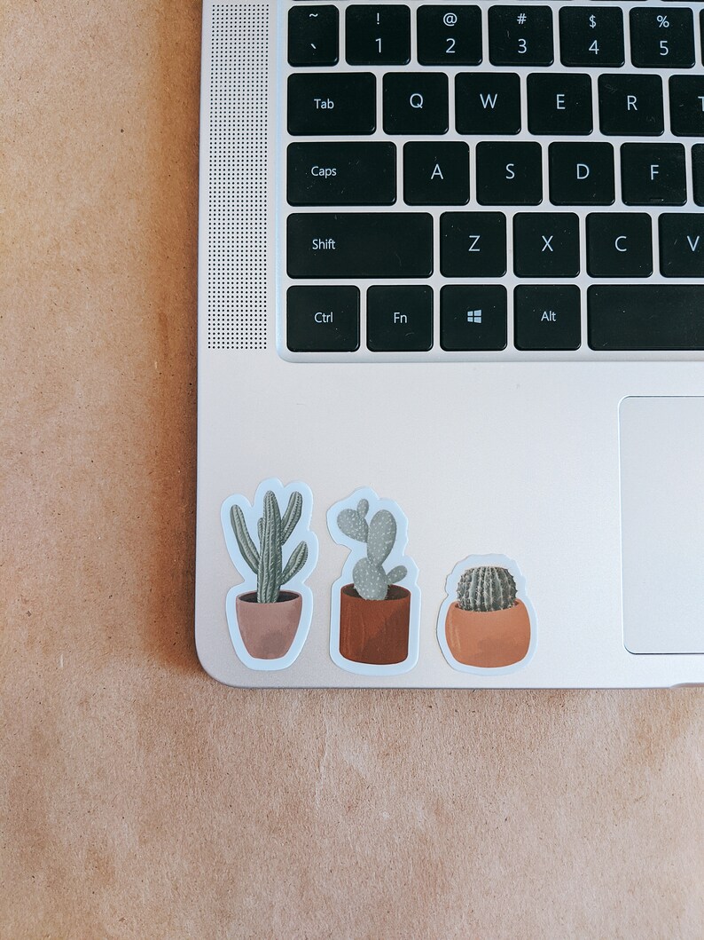 Cacti Trio Cactus Sticker Set Vinyl Sticker Pack Cactus | Etsy