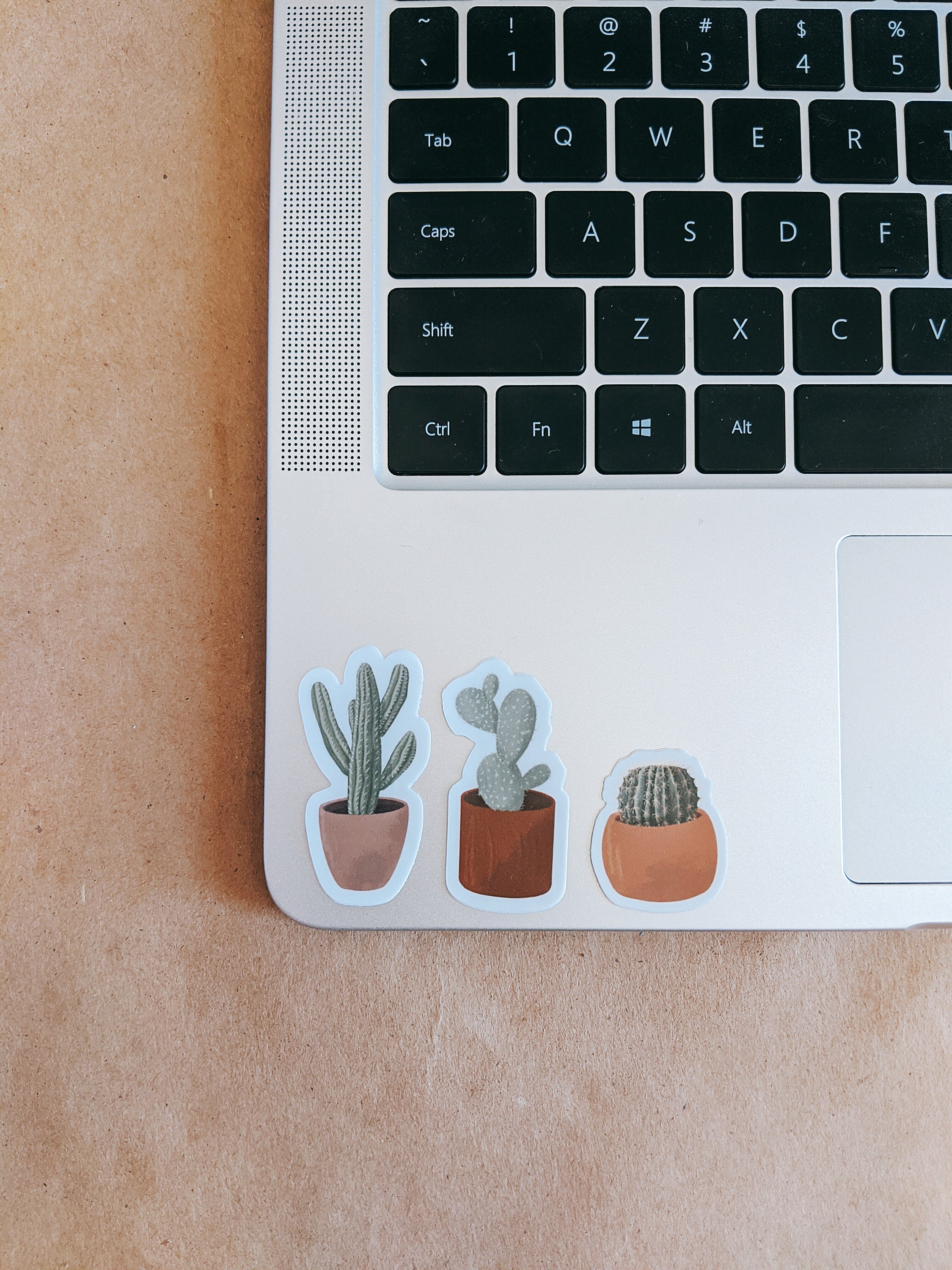 Cacti Trio Cactus Sticker Set Vinyl Sticker Pack Cactus | Etsy