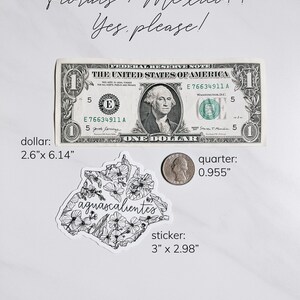 Aguascalientes Sticker | Mexico State Sticker | Sagittaria Demersa ...