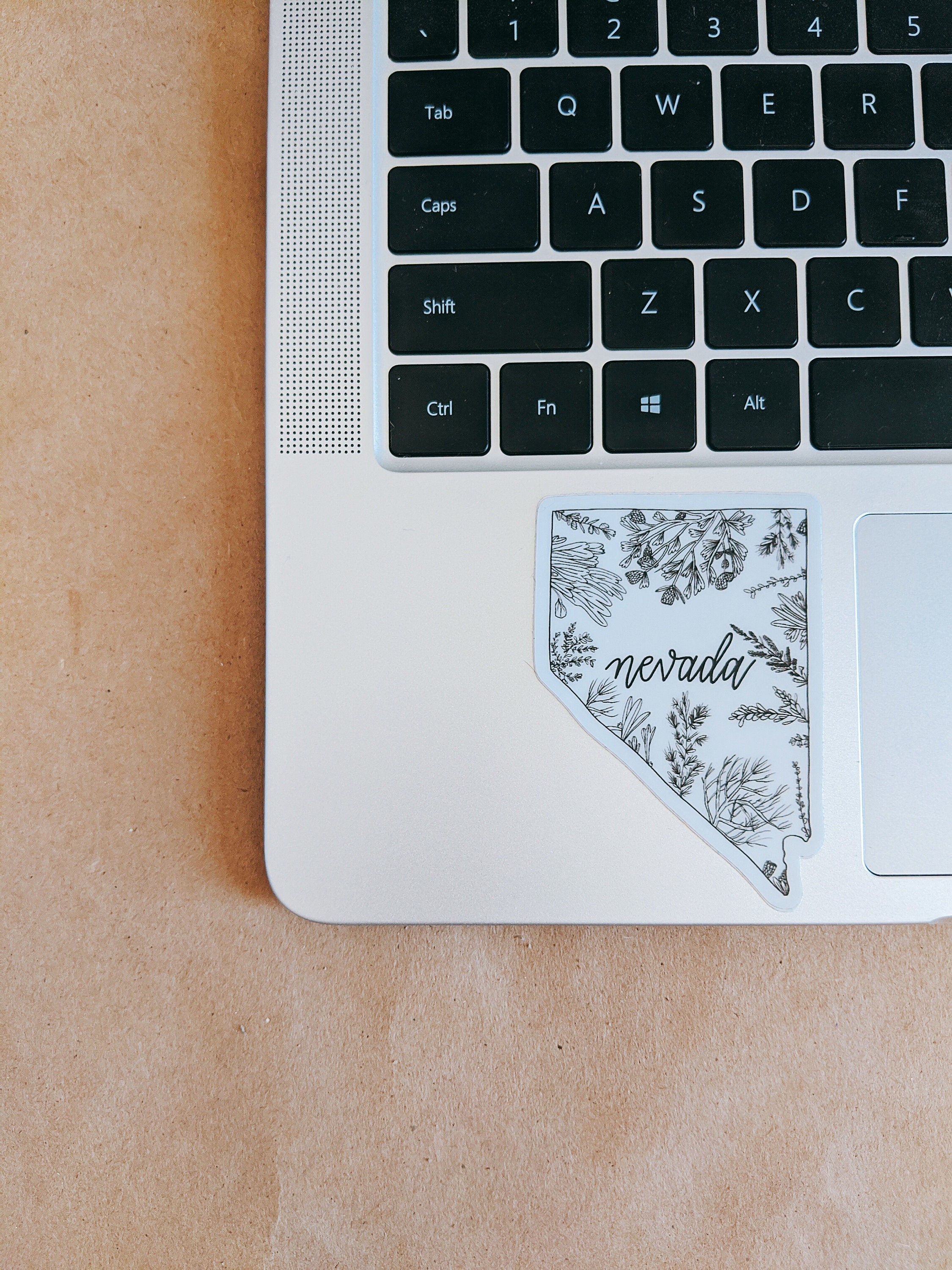 Nevada Sticker NV State Flower Big Sagebrush Vinyl Decal | Etsy New Zealand