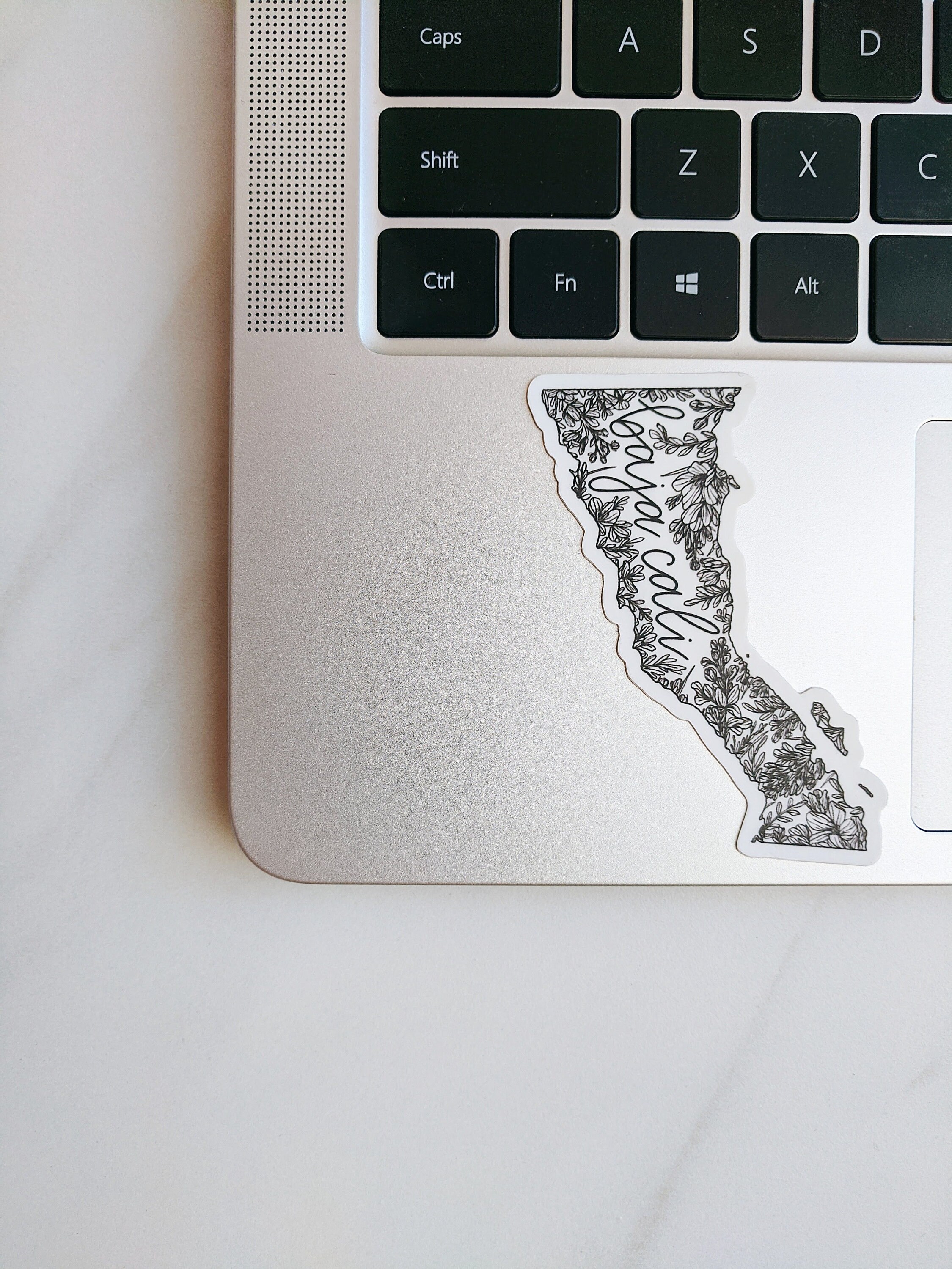 Baja California sticker Mexico state sticker native flora | Etsy